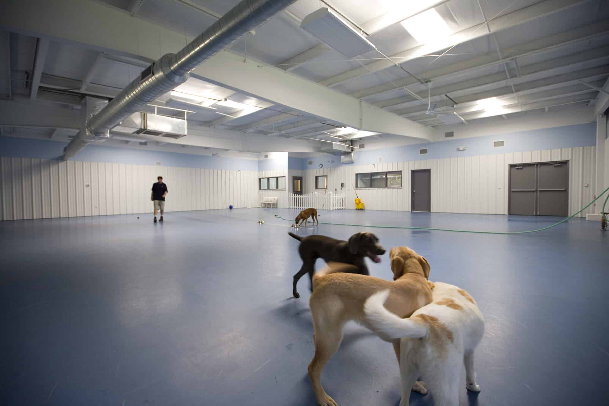 Photo Gallery - Paws Pet Resort