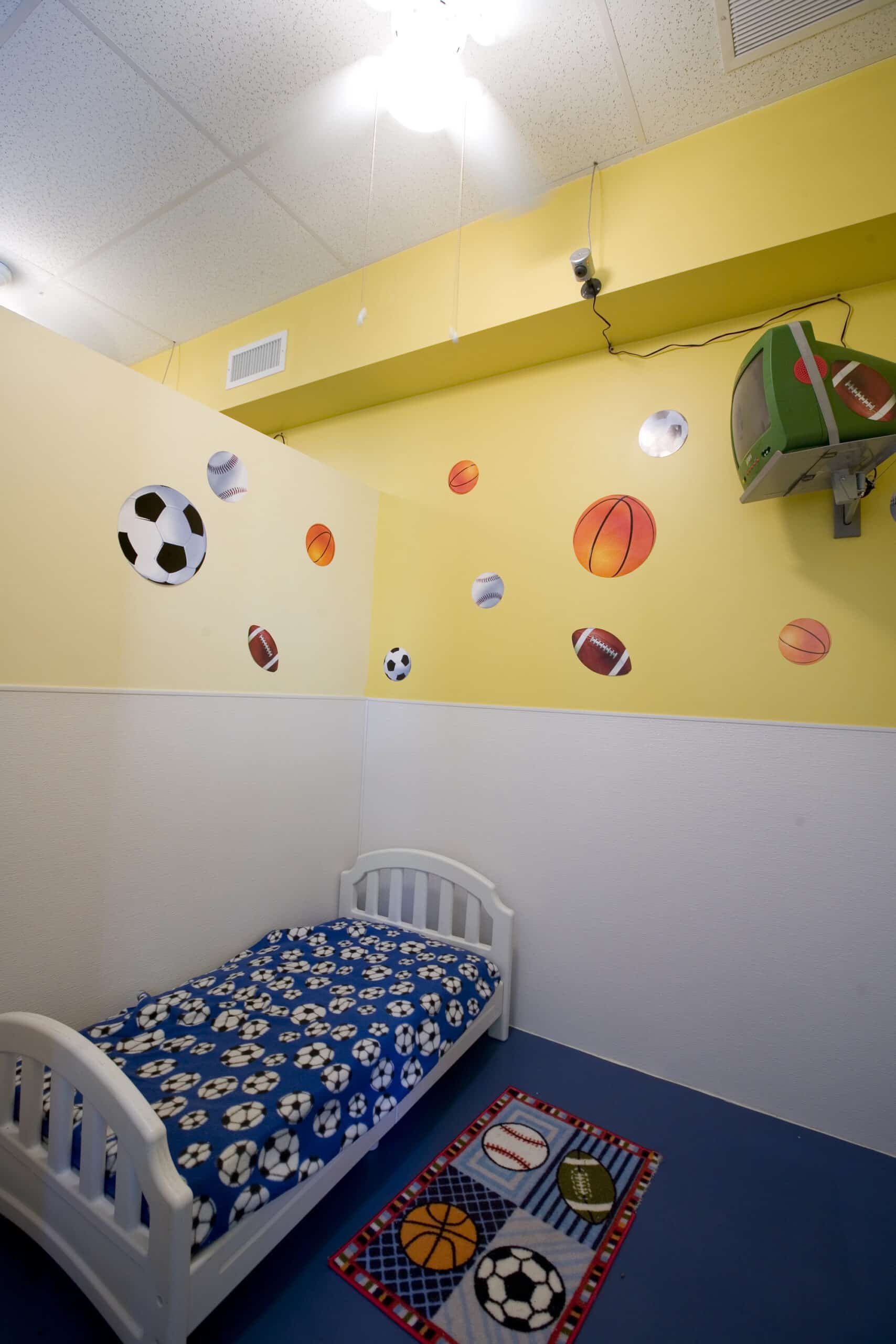 Photo Gallery - Paws Pet Resort